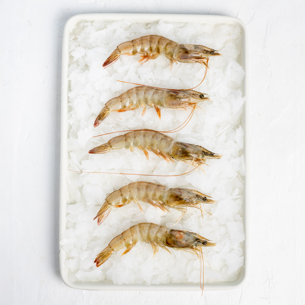 Frozen Prawns – Southern Cross Seafood Deli